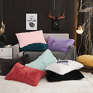 WERDIM Shaggy Fluffy Faux Fur Pillowcases 2 Pack Button Closure Velvet Pillow Shams Standard/Queen Size (Black, 20 X 26 Inches)