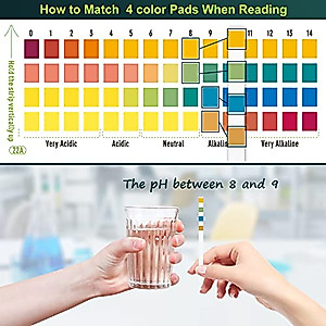 pH Test Strips - 200ct + 4 Colorimetric Blocks - Easy to Use and Wide Range pH Strips - for Testing Water, Soil, Soap, Chemistry Experiment, Pet Food, Diet pH Monitoring and so on…