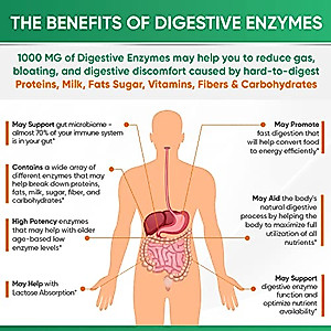Wholesome Wellness Digestive Enzymes 1000MG Plus Prebiotics & Probiotics Supplement, 180 Capsules, Organic Plant-Based Vegan Formula for Digestion & Lactose with Amylase & Bromelain,1-2 Month Supply