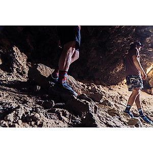 Swiftwick- VISION SIX Impression, Parks Edition, Running and Cycling Socks (Glacier, Large)