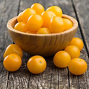 SUNSUGAR SUN SUGAR TOMATO SEED ~ SWEETEST TOMATO AVAILABLE ? - EXTREMELY SWEET - Very Early Cherry Tomato - 50 - 55 DAYS (0015 Seeds - 15 Seeds - Pkt. Size)
