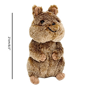 Whrigud Kawaii Quokka Kangaroo Plush Stuffed Animal Lifelike Short Tail Kangaroo Plushie Pillow Plush Toy Soft Stuffed Squirrel Pillows for Kids Gifts Home Decor 8.5'' (Quokka)