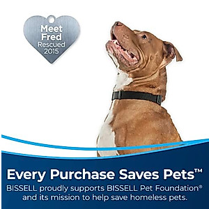 Bissell Pet Hair Eraser Slim 2921 - Cordless Stick Vacuum Cleaner for Home & Pet Hair Removal, Lightweight & Versatile, Handheld Conversion