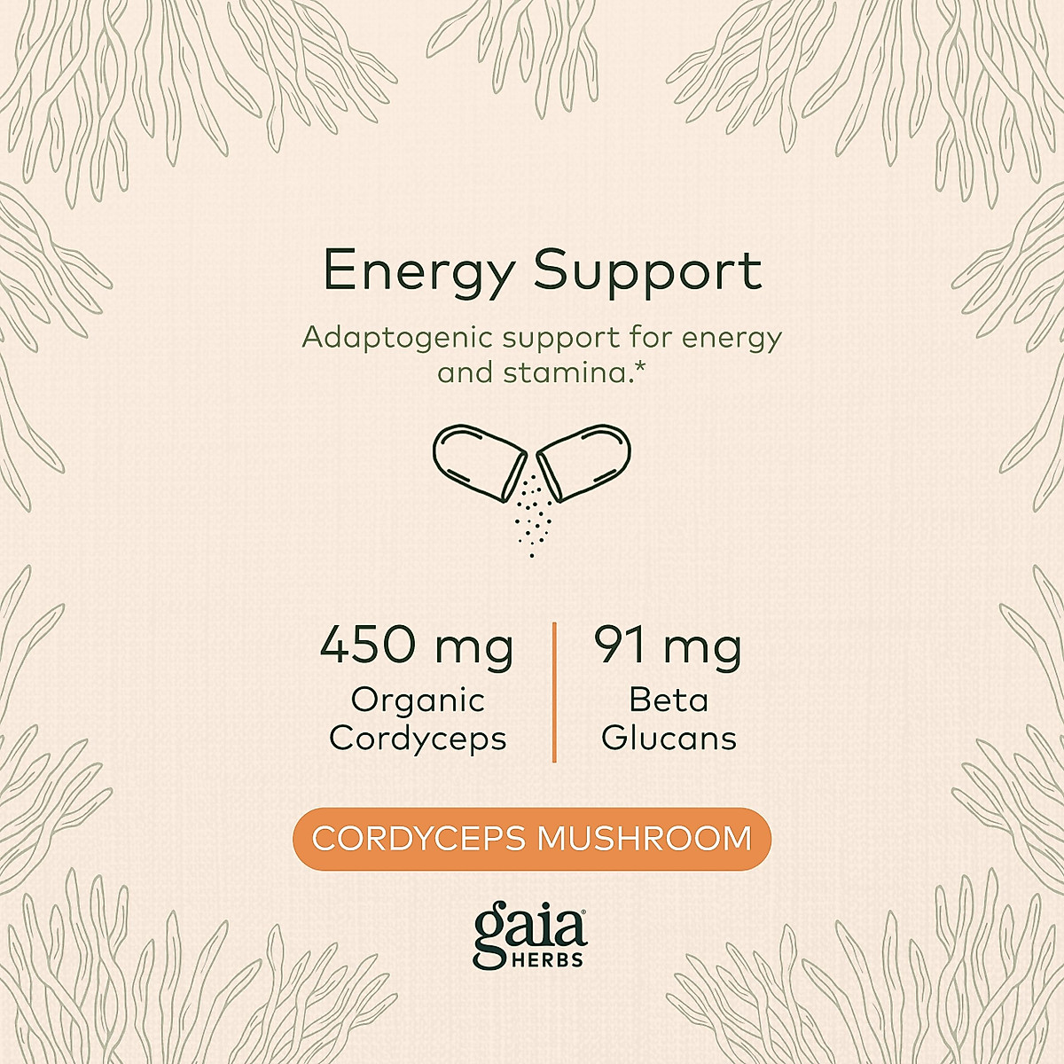 Gaia Herbs Cordyceps Mushroom - Energy Support Supplement for Sustaining Energy, Endurance, and Stamina - with Organic Cordyceps Mushroom - 40 Vegan Liquid Phyto-Capsules (40-Day Supply)