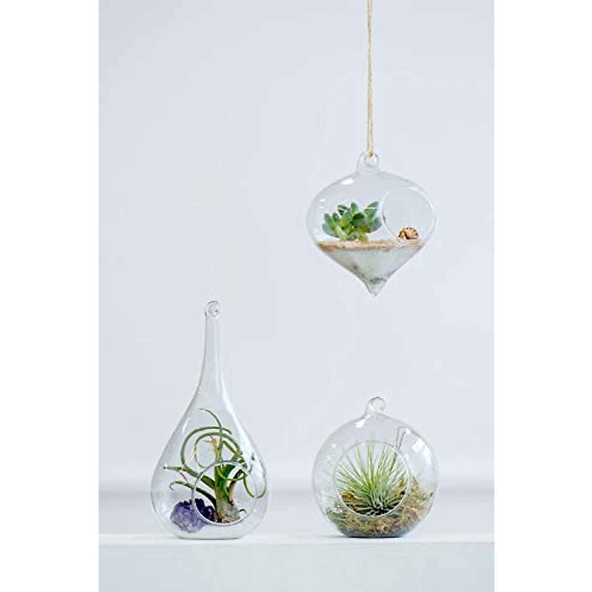 Mkono 3 Pack Glass Hanging Planter Air Fern Holder Terrarium Plants Hanger Vase Home Decoration Gift Idea for Succulent Moss Tillandsias Air Plants, Olive, Globe and Teardrop (Plant Not Included)