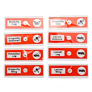 48pcs Kids Plastic Prepared Microscope Slides of Animals Insects Plants Flowers Sample Specimens for Microscopes