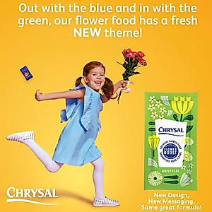 Chrysal Clear Flower Food Packets – Single Packet – Flower Arrangements & Bouquets – Floral Supplies for Fresh Flowers – Fresh Flower Arrangements Supplies – Ideal Florist Supplies- 100 Ct-10g/1 liter