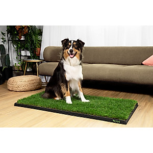 DoggieLawn XL - Real Grass Disposable Pet Potty - 48 x 24 Inches with Plastic Tray - Potty Training Pad for Dogs