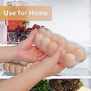 KUKLIPJIM 120 Pack Bulk Egg Cartons, Clear Plastic Chicken Egg Holders, Egg Tray Carton Holder for Home & Kitchen, Farm & Market Use, An Eco-Friendly Egg Storage Solution, 12 Grids