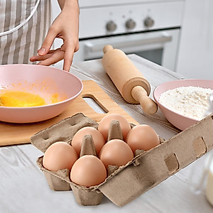 Sieral 100 Pcs Paper Egg Cartons Bulk for Chicken Eggs Blank Pulp Fiber Egg Tray Holder Reusable Empty Egg Storage Containers for Farm Market Kitchen Camping Picnic Easter DIY(6 Count)