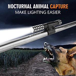 Dog Catcher Pole Animal Catch Pole Control Tool Trap Kit for Dogs, Pig, Fox, Hog and Other Wildlife Catching - 52inch with Flashlight