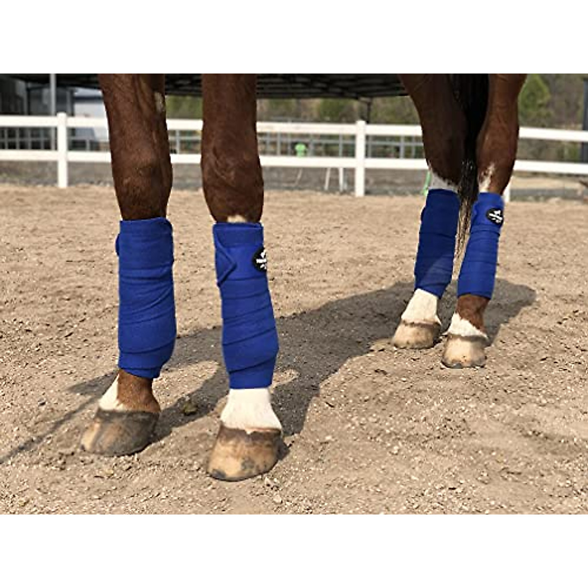 TGW RIDING Horse Polo Leg Wraps, 4-Pack (Royal Blue)(4.73inchesX118inches)
