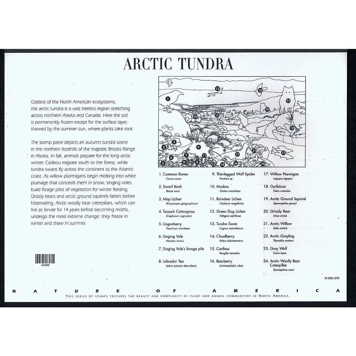 Arctic Tundra, Full Sheet of 10 x 37-Cents Postage Stamps, USA 2003, Scott 3802