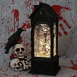 Wondise Halloween Projection Snow Globe with Timer, Battery Operated Spinning Water Glittering Skull Statue Lantern Globe for Halloween Decoration