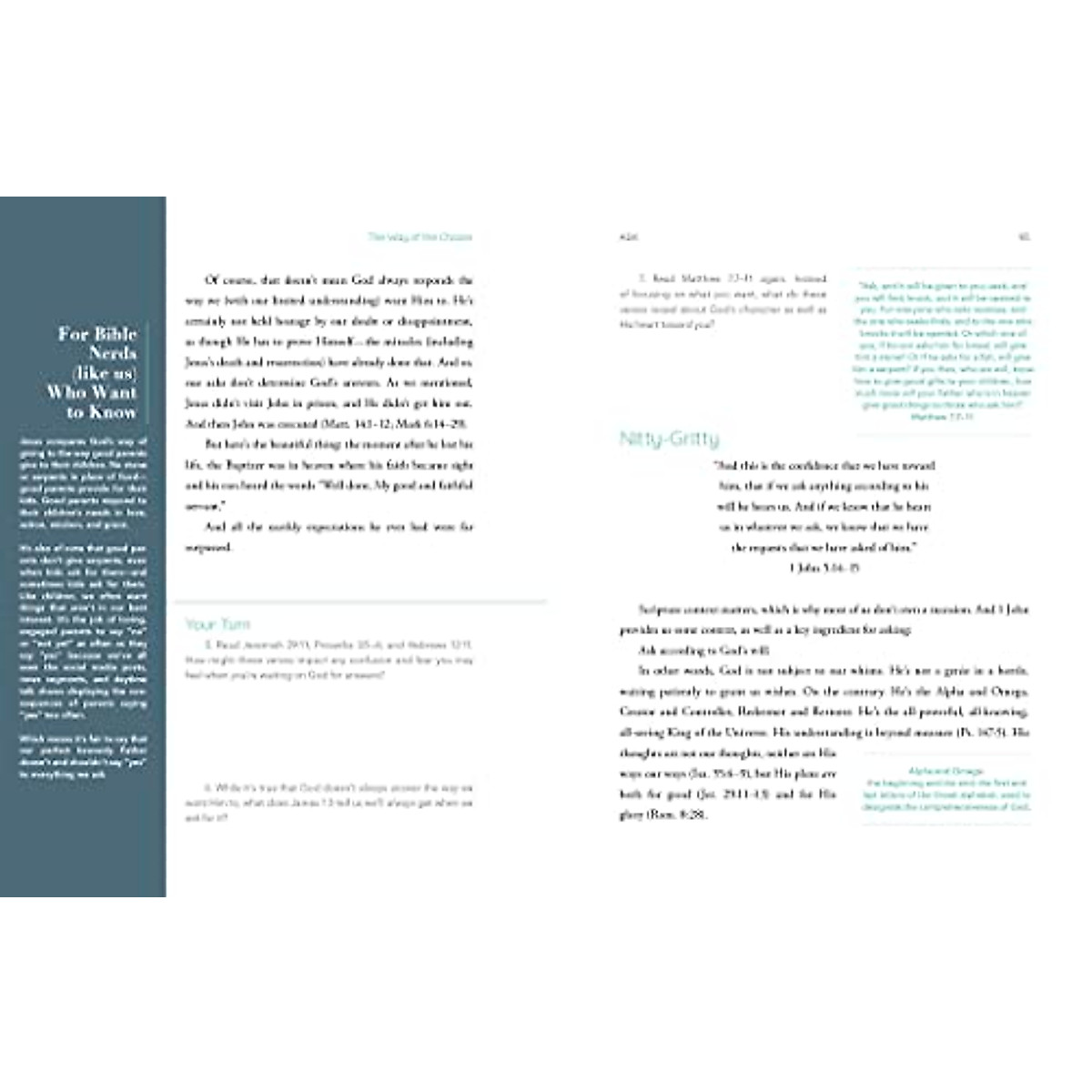 The Way of the Chosen (Volume 3) (The Chosen Bible Study Series)