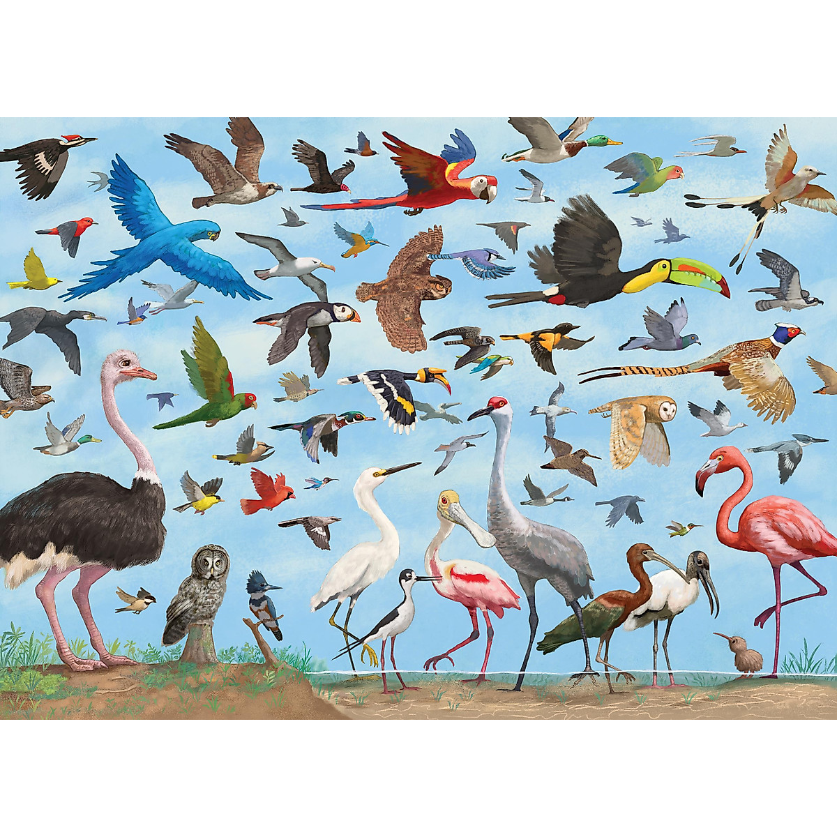 PETER PAUPER PRESS All The Birds 1000 Piece Jigsaw Puzzle