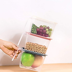 Cabilock 4pcs Box Refrigerator Crisper Pp Dedicated Agricultural Products