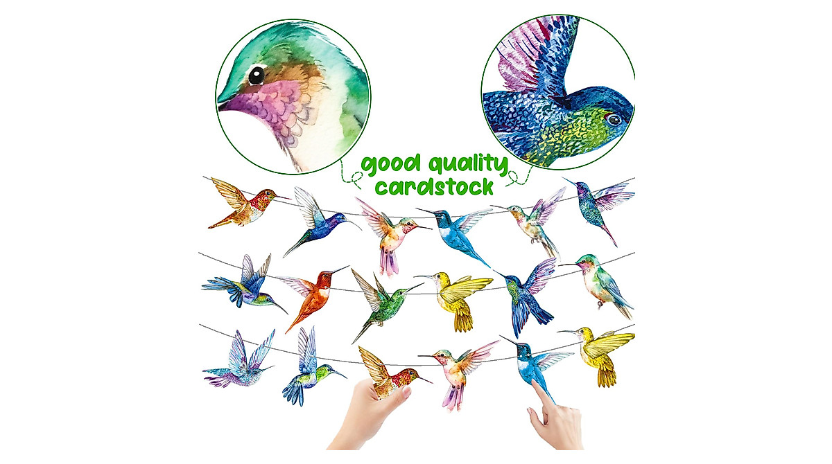 Hummingbird Party Banner | Fun Decorations for Events