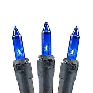 Novelty Lights 100 Light Blue Christmas Mini String Light Set, Black Wire, Indoor/Outdoor UL Listed, 50' Long