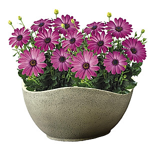 Classic Home and Garden Arc Pot 12" - Stone