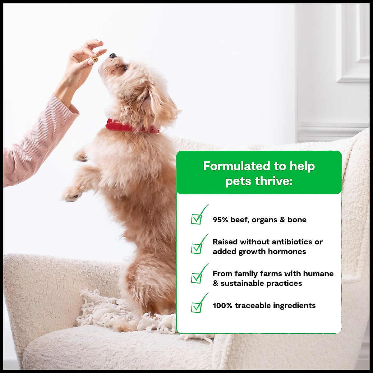 Open Farm Freeze Dried Raw Dog Food, Humanely Raised Meat Recipe with Non-GMO Superfoods and No Artificial Flavors or Preservatives (13.5 Ounce (Pack of 1), Grass Fed Beef Recipe)