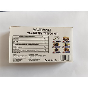 Temporary Tattoo kit，4Pcs Tattoo Cones,100% Natural Ready to Use Black Tattoo Paste, India Body DIY Art Painting for Women Men Kids with 20 Adhesive Stencils, 1 Bottle, 4Nozzles