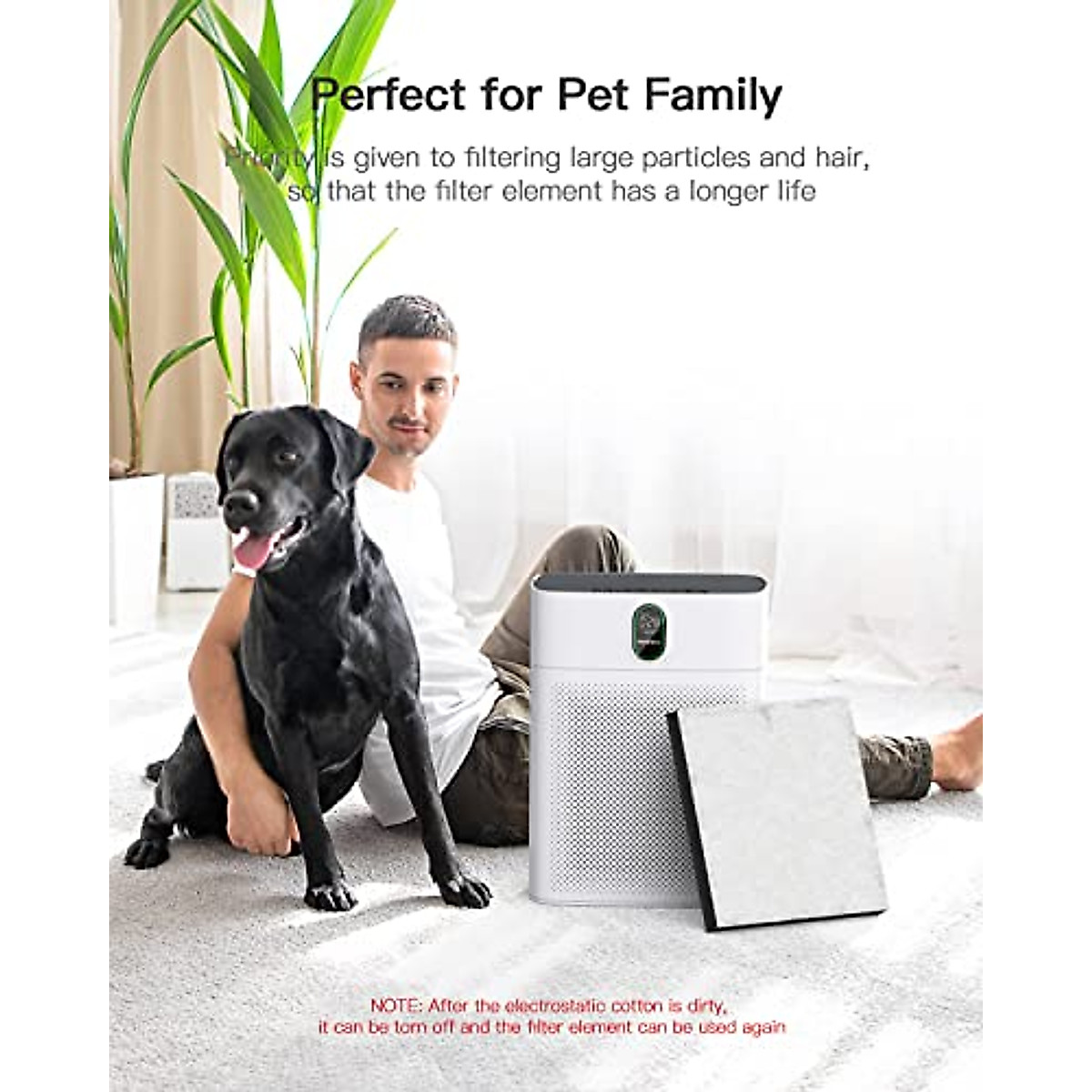 MORENTO HY4866 Air Purifier Replacement Filter for HY4866 Air Purifer (2 Pack, Enhanced Version)