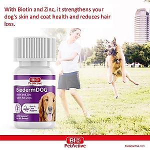 Bio Pet Active BiodermDOG 0.5 Zinc and Biotin Tablets for Dogs, Immune System, Skin, Coat and Nail Support for Dogs, 1.32 oz, 75 Chewable Tablets