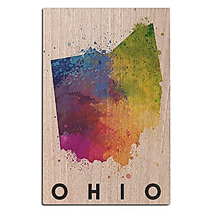 Ohio, State Abstract Watercolor Birch Wood Wall Sign (12x18 Rustic Home Decor, Ready to Hang Art)