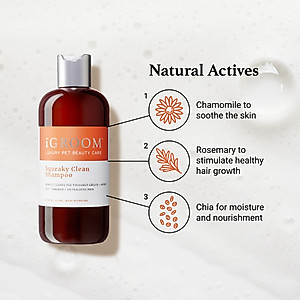 iGroom Squeaky Clean Dog Shampoo, Luxury Pet Beauty Care, Intense Cleaning Power, Chamomile Extracts Sooth Skin, Made in USA (1 GAL)