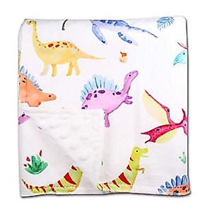 Baby Mink Blankets, Dinosaur Toddler Blanket for Boys Girls, Soft Newborn Blanket with Dotted Backing, Double Layer, Crib Receiving Blanket for Nursery, Shower Gifts, 30 X 40 Inches