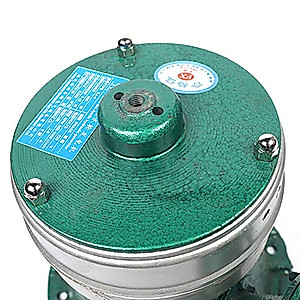 Hydro Generator Micro Hydro Water Turbine Generator US Plug for Household Lighting TV Electric Furnace 110V (600W)