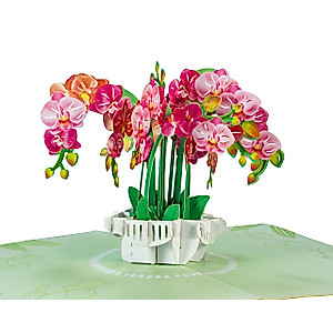WOWPAPERART Orchid Flower - 3D Pop Up Greeting Card For All Occasions - Love, Birthday, Christmas - Blank Inside for Personalized - Thick Envelope - 5x7 In