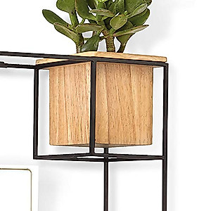 Umbra Cubist Floating Shelf with Built-In Succulent Planter – Modern Wall Décor and Geometric Display Shelf for Books, Candles, Mementos, Photos, Indoor Plants and More! | Large, Black
