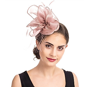 SAFERIN Fascinator for Women Hair Clip Hat Bowler Feather Flower Veil Wedding Party Hat Tea Hat（TA2-Pink）