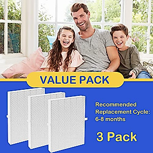 115115 True HEPA Replacement Filters A Compatible with Winix PlasmaWave 5300, 6300, 5300-2, C909, 6300-2, C535, P300,9000, 5000, 5000B Air Purifiers, Size 21 True HEPA Filter Only 3 Pack