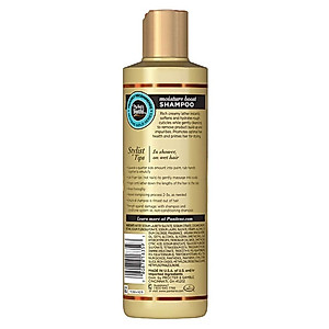 Pantene Gold Series Shampoo Moisture Boost 9.1 Ounce (270ml) (2 Pack)