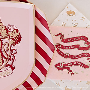 Harry Potter Paper Napkins - Hogwarts™ House Large Paper Napkins | Harry Potter Party Supplies | Table Decor | Gifts for Birthdays, Christmas, and Holidays | 24 Pack (6.5")