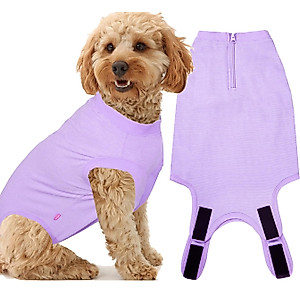 Wabdhaly Dog Surgery Recovery Suit for Small Female Spay,Anti Licking Dog Surgical Recovery Onesie,Fashion Striped Purple S