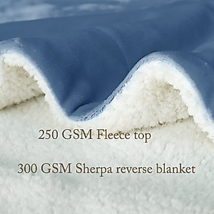 LBRO2M Sherpa Fleece Bed Blanket King Size,Super Soft Fuzzy Plush Warm Cozy Fluffy Microfiber Couch Throw Velvet Double Reversible Luxurious Blankets (Light Blue, King(90x104 Inches))
