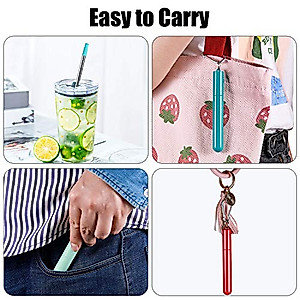 Metal Straws, Funbiz 3 Pack Reusable Collapsible Stainless Steel Straw with Plastic Case Silicone Tip and Long Cleaning Brush, Telescopic Portable Pocket Drinking Straws for Travel, Green/Black/Grey