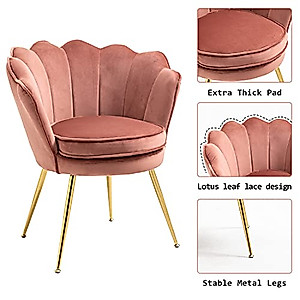 ZJhome Modern Accent Velvet Chairs Set of 2 Comfy Upholstered Vanity Chairs for Bedroom Shell-Shaped Armchair Dining Chairs with Golden Metal Legs Desk Chair Makeup Chairs for Living Room(Pink)