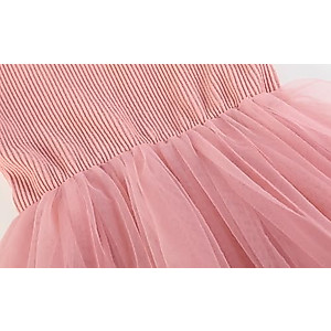 BTGIXSF Baby Girls Tutu Dress Toddler Long Sleeve Tulle Dress Princess Infant Party Dresses 698 Pink 110