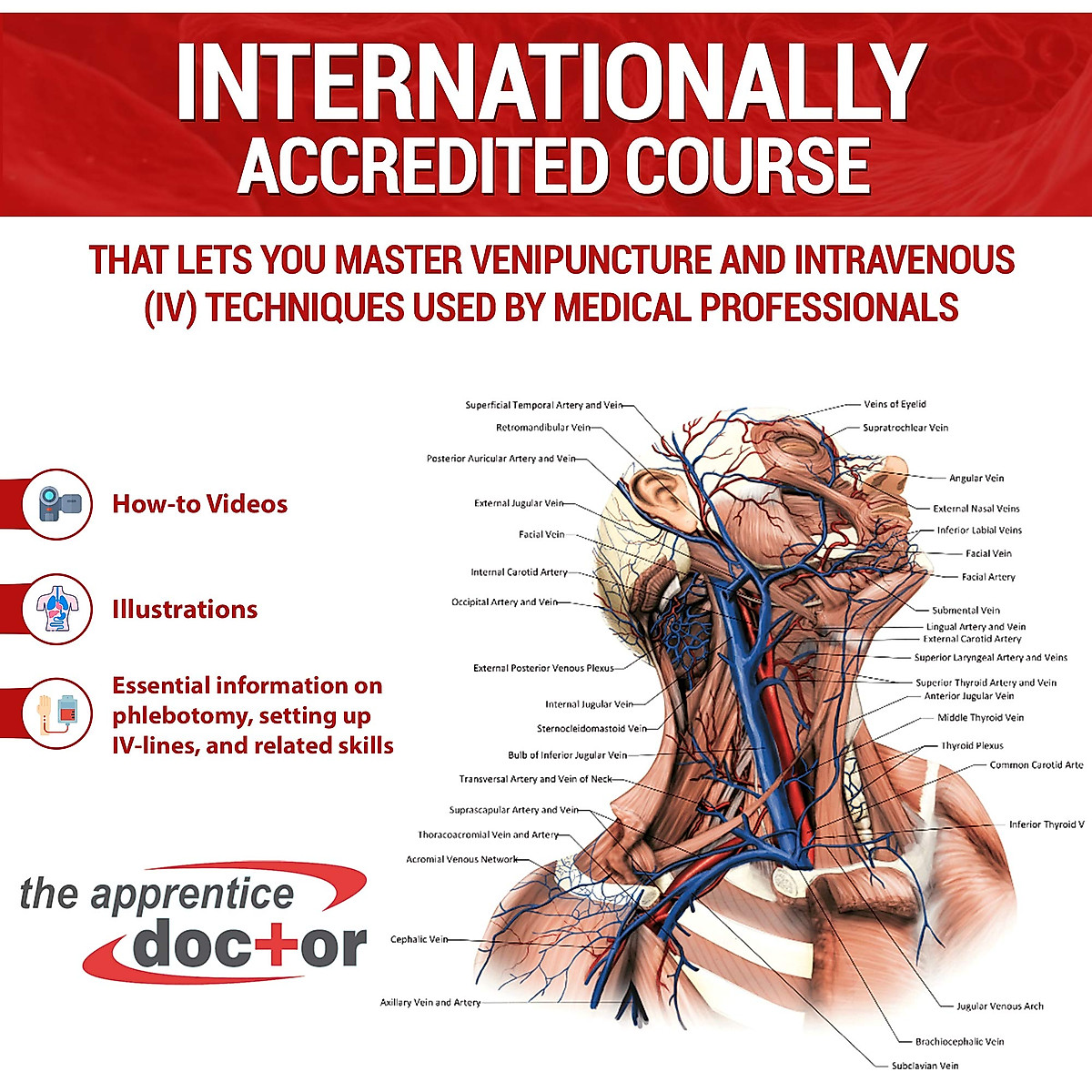 Venipuncture Practice Kit & Online Training for Nurses & Phlebotomists. Practice & Build Confidence in Your IV & Phlebotomy Skills Before Working on Real People (Original Venipuncture Kit)