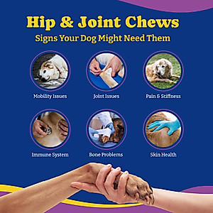 YoYoBay Joint Supplement for Dogs - Glucosamine for Dogs, with Chondroitin, MSM - Dog Pain Relief Anti-Inflammatory, Support Hip & Joint Health, Mobility - 180 Soft Chews, Duck & Pear Flavor