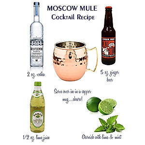 BOLD & DIVINE Copper Plated Moscow Mule Mugs Set of 4 | 18 Oz Hammered Copper Cups with Stainless Steel Lining Gold & Brass Handles with Copper Straws & Shot Glass | Perfect for Bars, Parties & Gifts