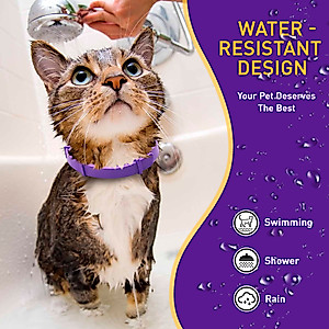 PetAtlas 4 Pack Calming Collar for Cats – Pheromone Cat Calming Collar Cat Anxiety Relief and Stress – Adjustable Water Resistant Breakaway Calming Collars Natural Ingredients Pheromones Rapid Effect