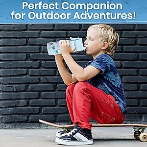 Lexlion Water Bottle 14 Oz, Triple Walled Insulated Stainless Steel Odor & Strain Resistant Reusable Bottle, 1 straw Lid, Leakproof, Metal Mug Gallon, BPA Free, Blue Zoo