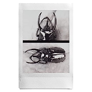 instax Mini EVO 2-in-1 Instant Photo Camera and Printer with with 2.7 inch LCD Screen, 10 Lens and 10 Film Effects, Mini Film Format