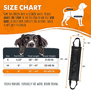 Mighty Paw Dog Lift Harness - 0-20 lbs Dog Hip and Hind Leg Support Sling - Comfortable Assistance for Elderly or Injured Dogs with Hip and ACL Brace - Back Support Harness Carrying Sling - Small